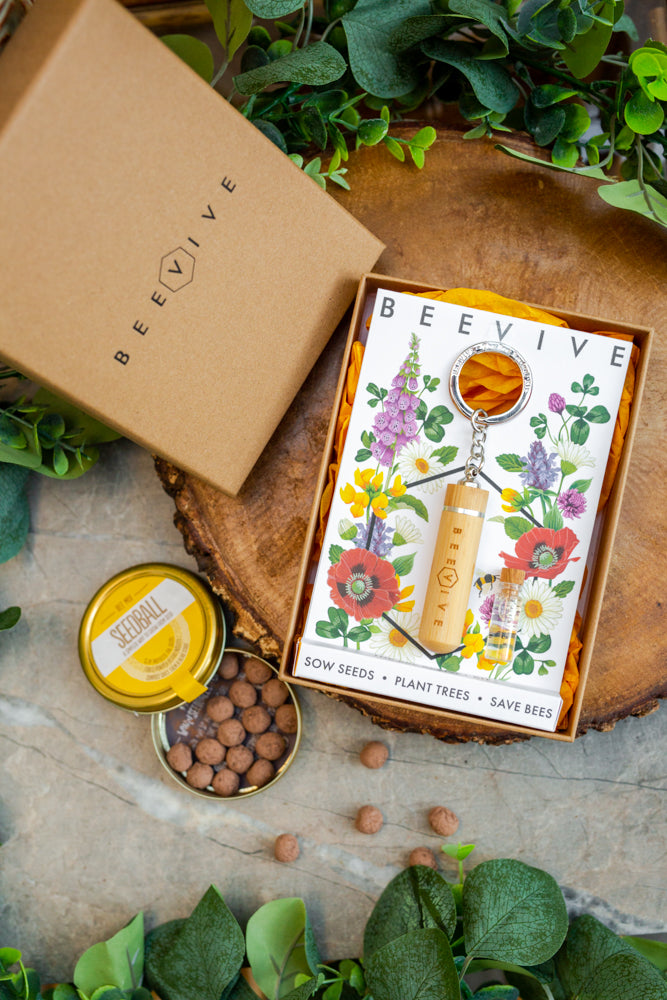 Bee Lovers’ Gift Box - Eco-Friendly Bee Revival Kit & Wildflower Seed ...