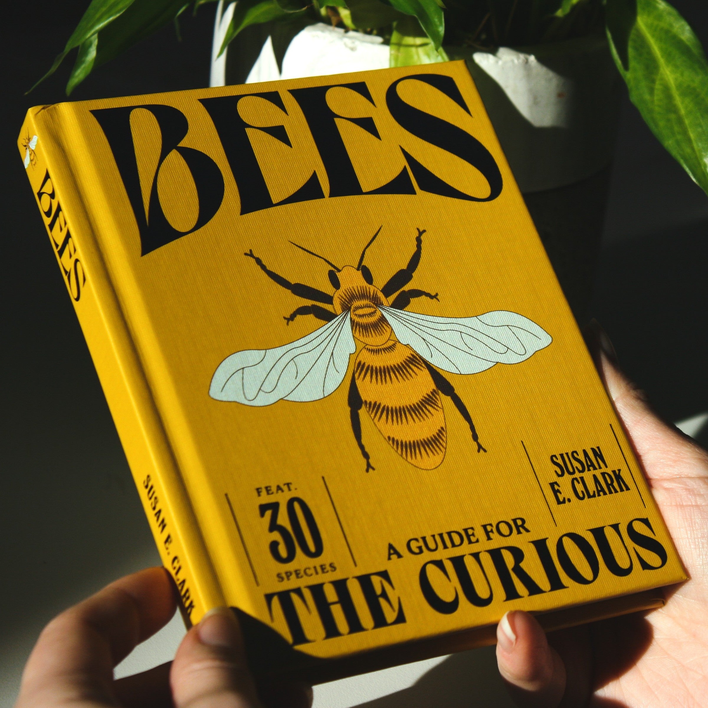 Bees - A Guide for the Curious by Susan E. Clark – Beevive